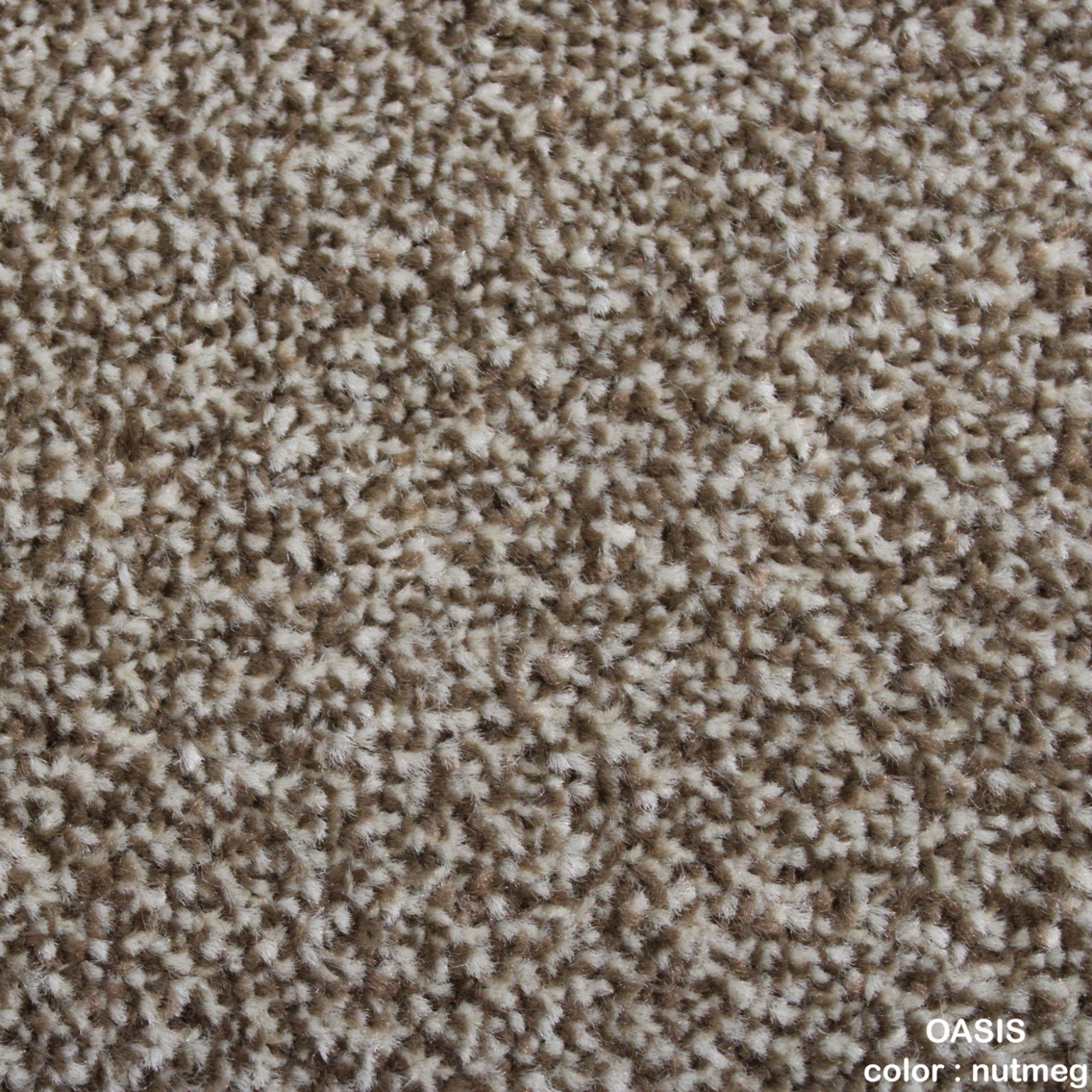 Oasis – Deluxe Carpets