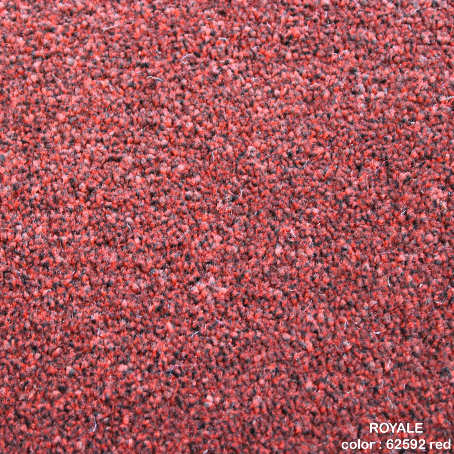 Royale – Deluxe Carpets